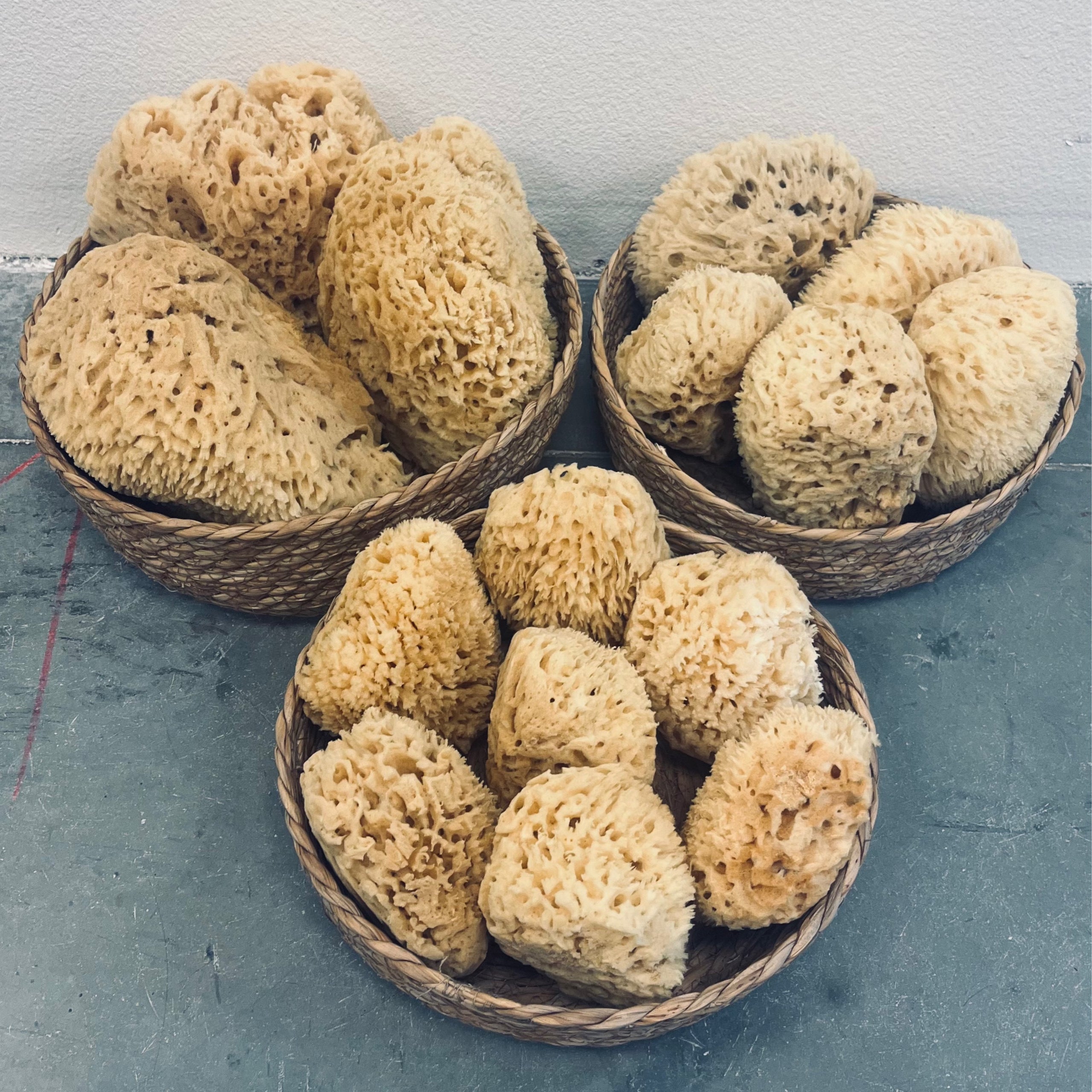 Sea Sponges | Feel Good Market